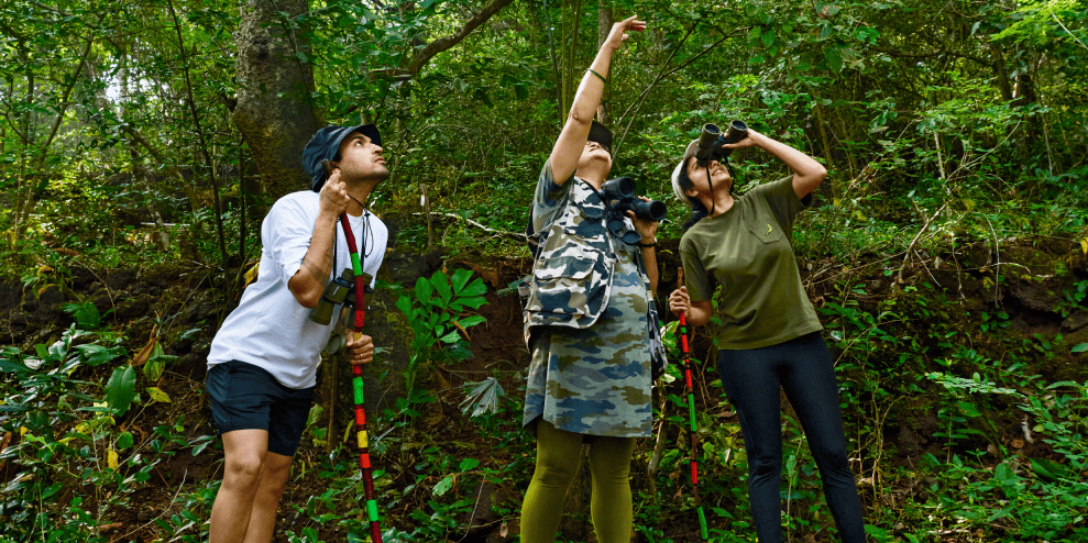 The Fern Samali Resort Dapoli, Series by Marriott - Resort With Best ...