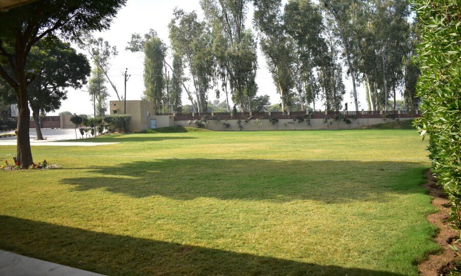 The Fern Alwar - Your Absolute Escape into Nature's Serenity