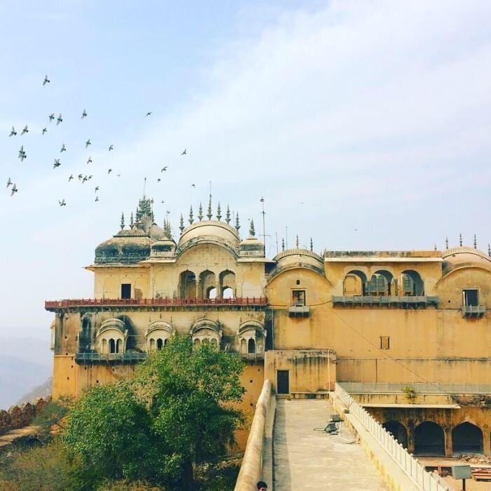 Mango Mania at The Fern, Alwar Sariska